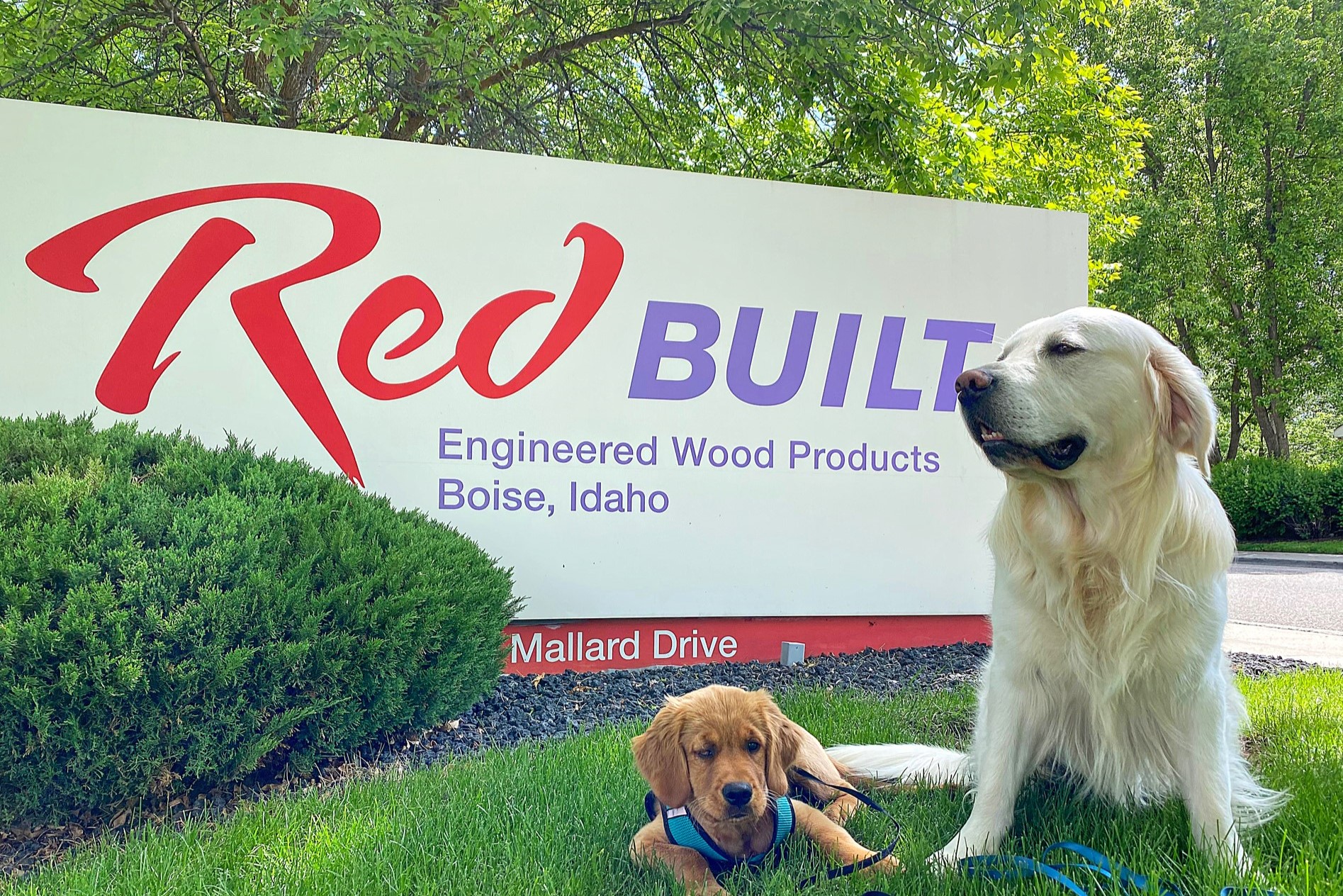 RedBuilt Career Opportunities and Job Openings